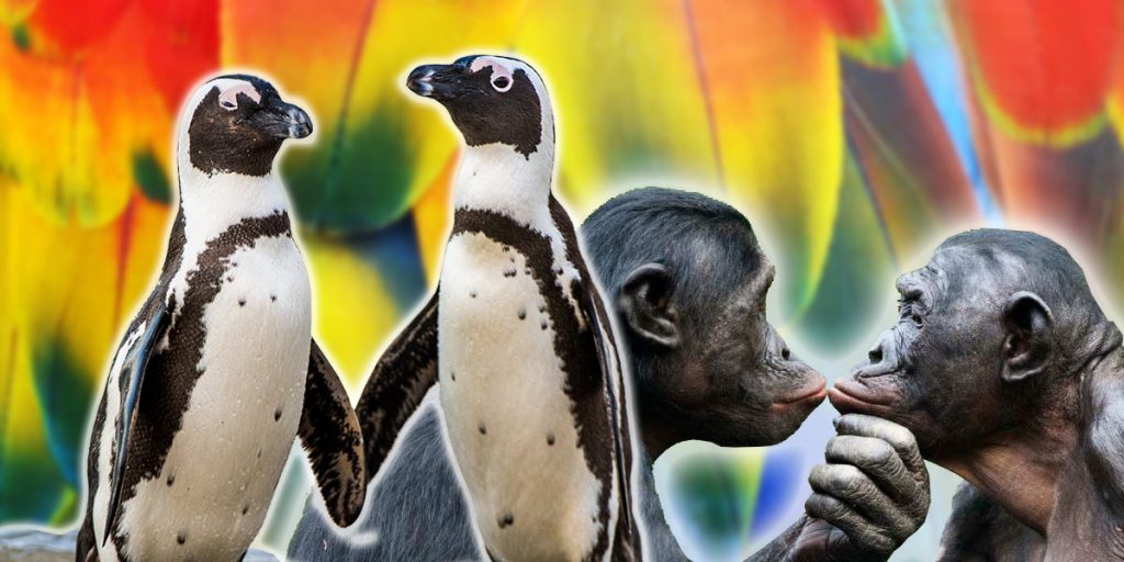 Scientists: Same-sex behaviours likely part of all animals' original ...