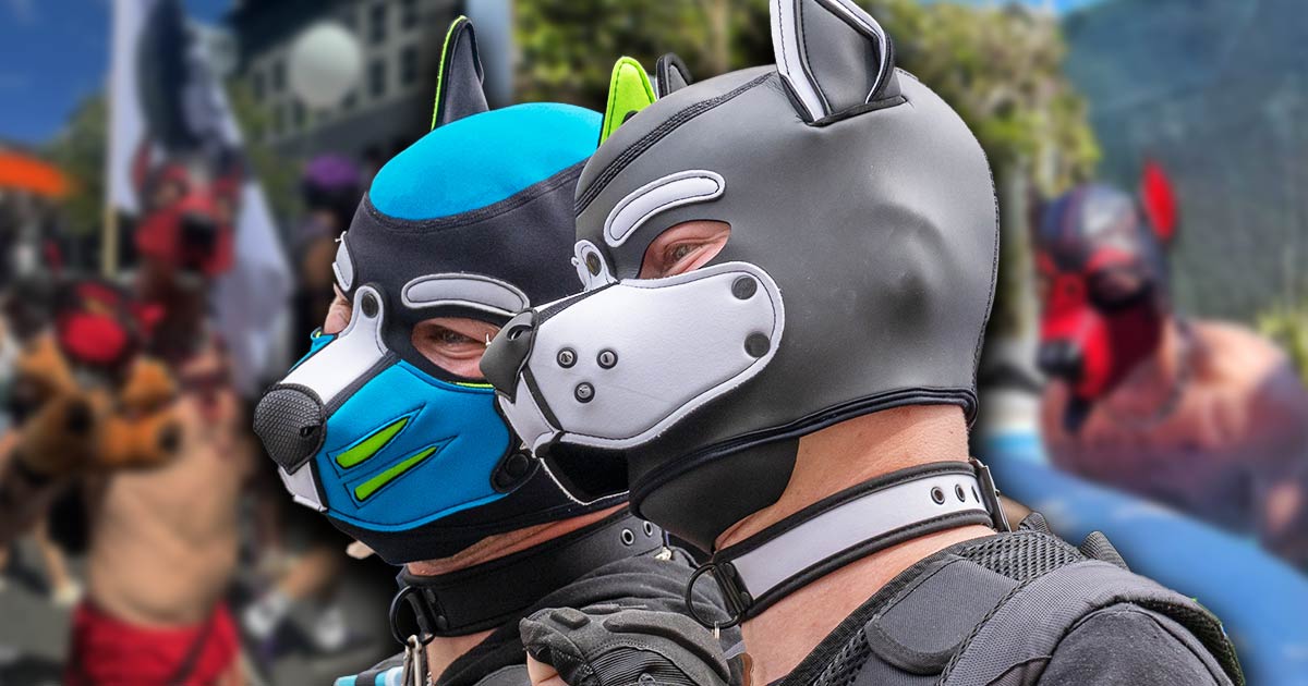 Discovering the World of Pup Play: An Inside Look - MambaOnline - LGBTQ ...